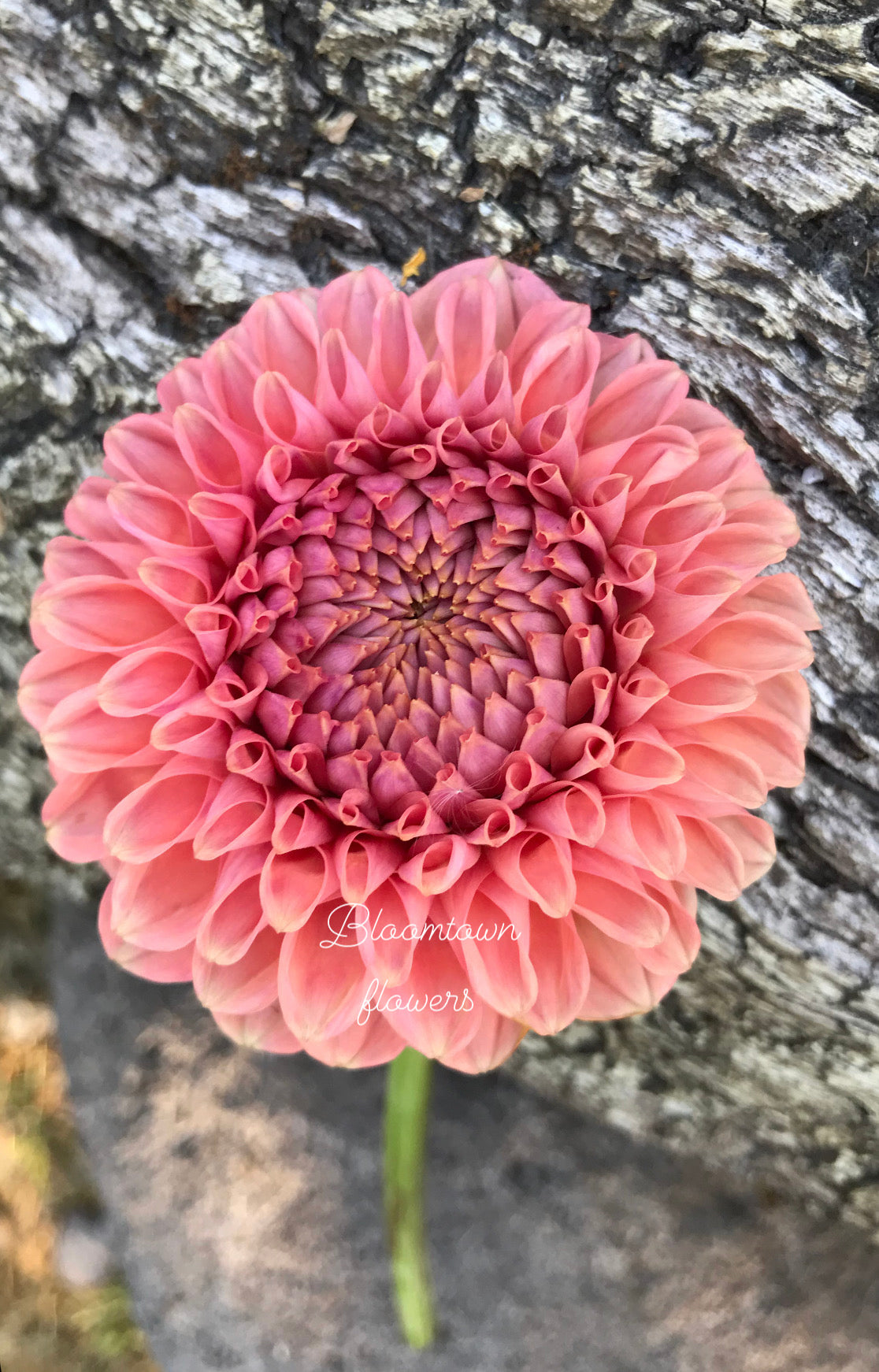 Parkland Tribute – Bloomtown Flowers